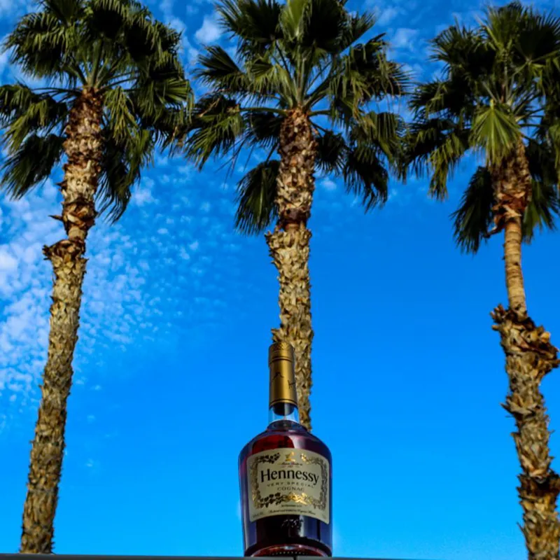 Palm Trees & Henny by Sonar - Album