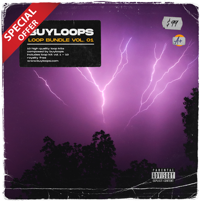 BUYLOOPS.com - Your #1 Loop Store For Producers