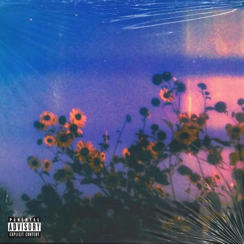 Snow | Sad Powfu Guitar Beat by Movye