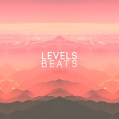Levels Beats | BeatStars Profile