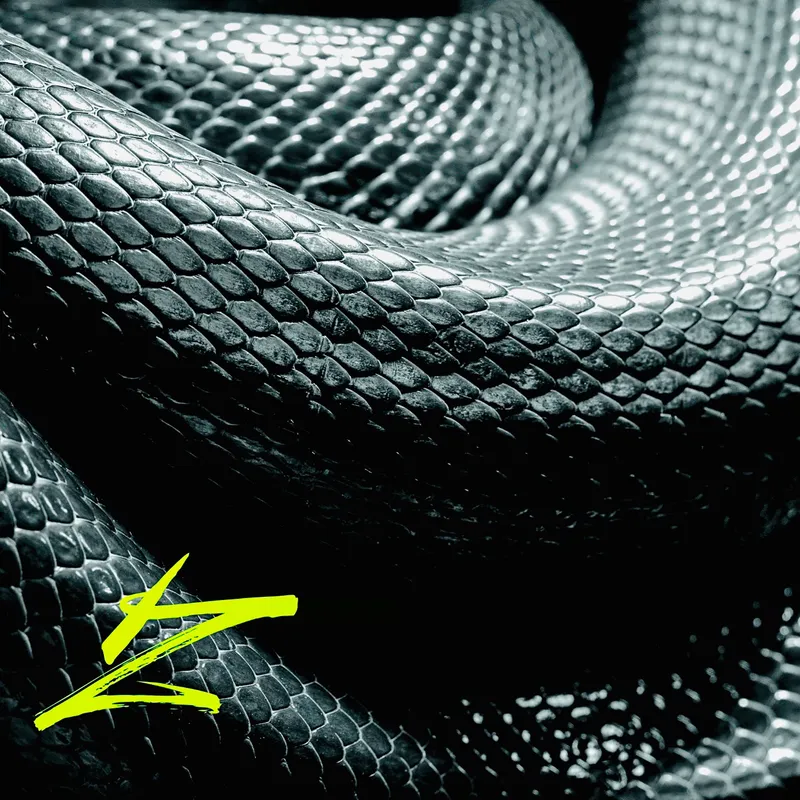 Mamba Venom (Lil Baby x Lil Durk x Drake x Future Type Beat) by Zerg