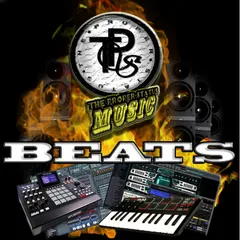 THE PROPER STATUS MUSIC | BeatStars Profile