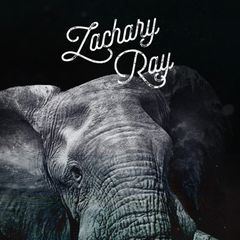 Zachary Ray | BeatStars Profile