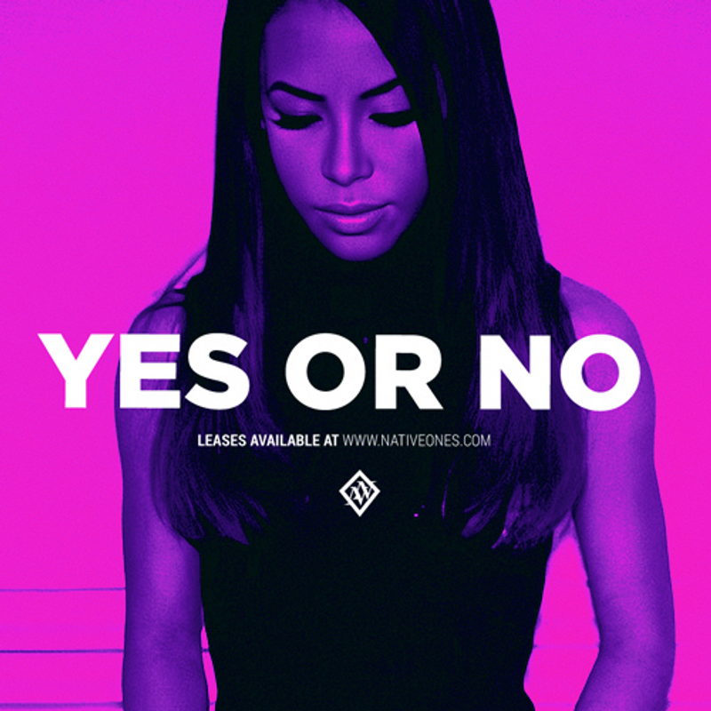Yes or No [No Samples] by Native Ones