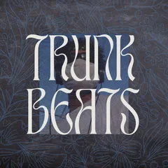 trunkbeats | Soundkits | BeatStars Profile