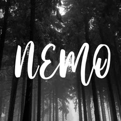 neemoo | Soundkits | BeatStars Profile