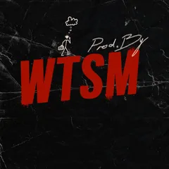 WTSM | BeatStars Profile