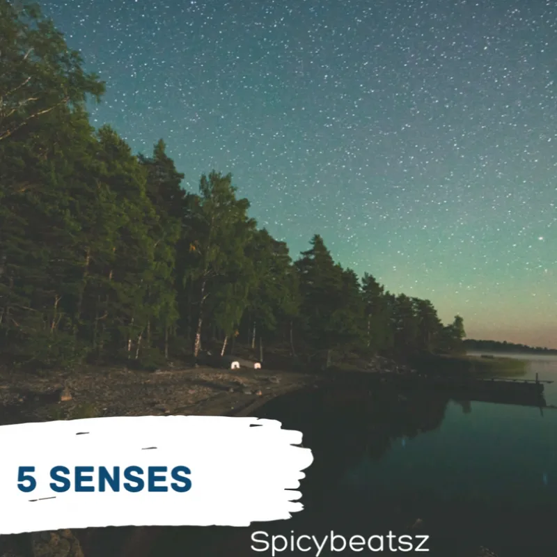 5 Sences by spicybeatsz