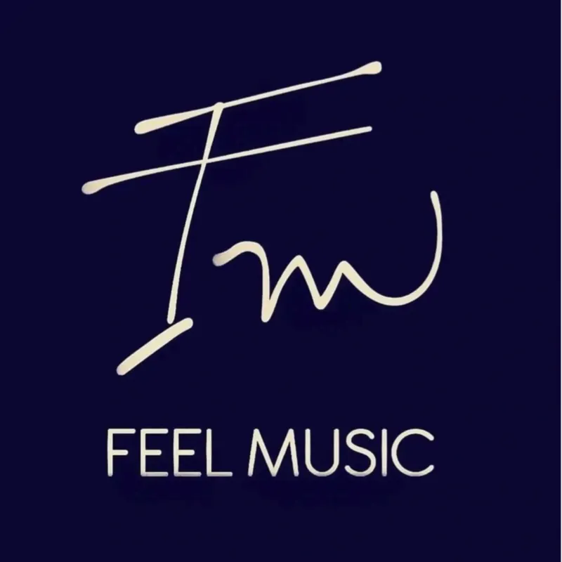 Romantic Type by Feel Music