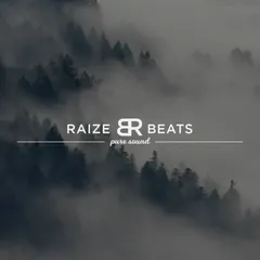 Raize | BeatStars Profile