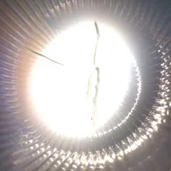 John Otis | BeatStars Profile