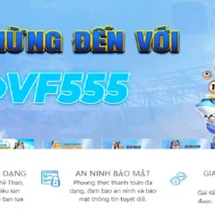 VF555 | BeatStars Profile