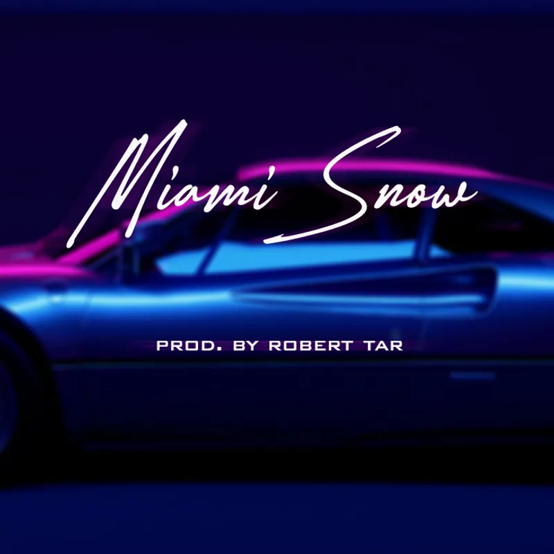 Miami Snow by Robert Tar