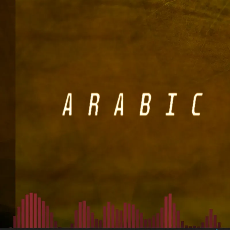 "ARABIC FLOW" Exotic Rap Boom Bap Beat 2023 by prod. Paka