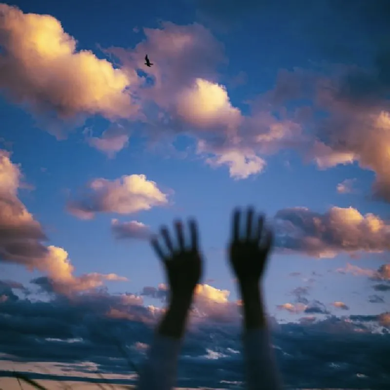 Everything Fades by Boyfifty