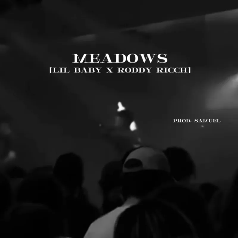 MEADOWS [LIL BABY x RODDY RICCH BEAT 2024] by SAMUEL