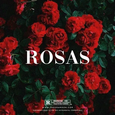 Rosas by Ramoon
