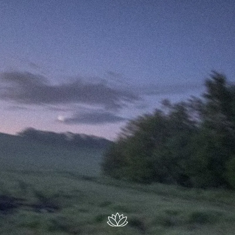 Eyes Don't Lie | Sad, Folk by Jacob Vallen