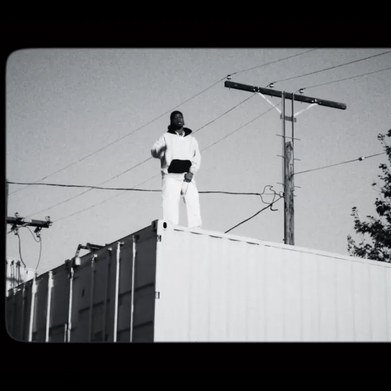 Hornet - [Free] Joey Bada$$ x Griselda x The Alchemist Beat by Alchemy ...