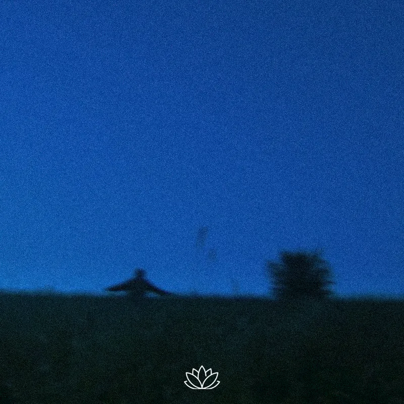 Flowers | Sad Folk, Guitar by Jacob Vallen