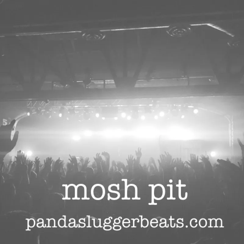 mosh pit by panda slugger