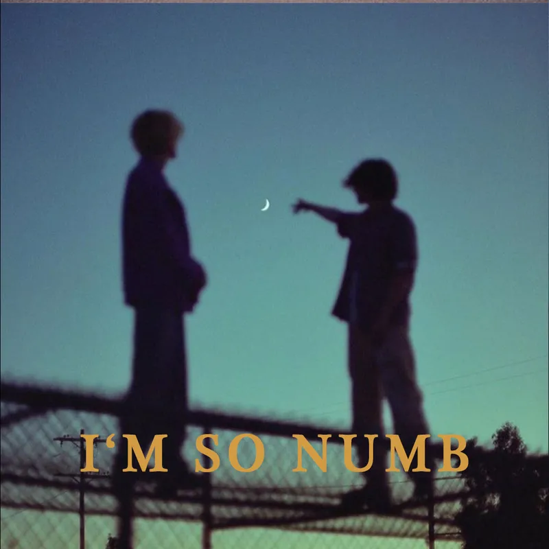 EKKSTACY x ThxSoMch x Post Punk "I'm so numb" by Sebbru