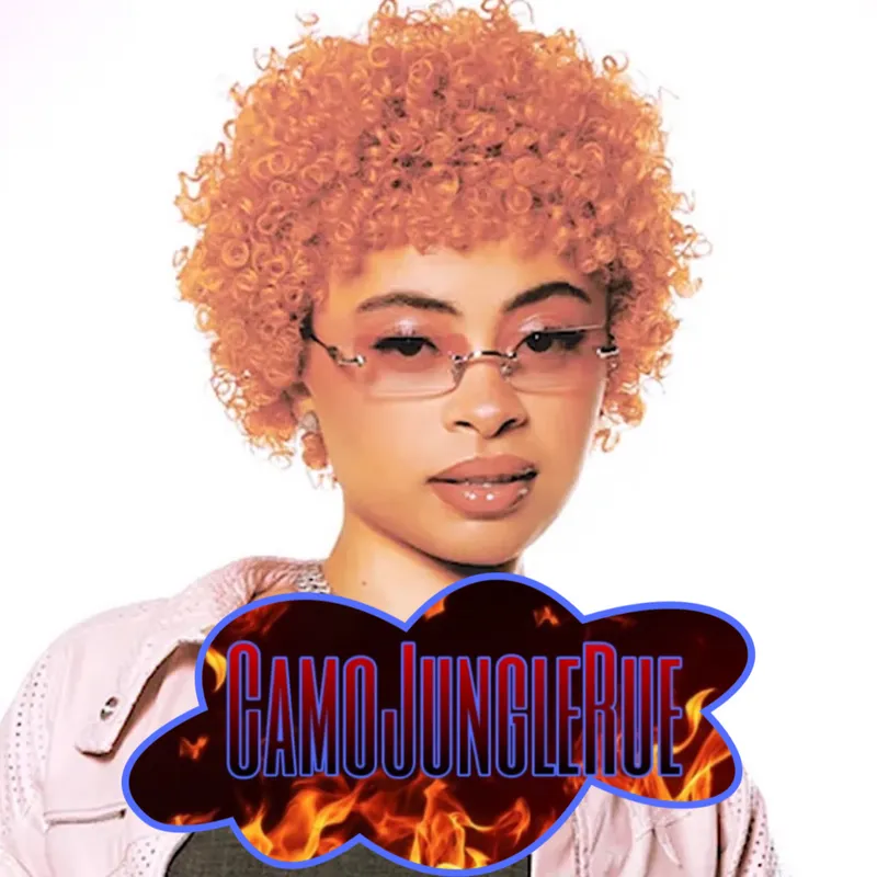 Ice Spice [Ice Spice Type Beat] 118BPM by CamoJungleRue