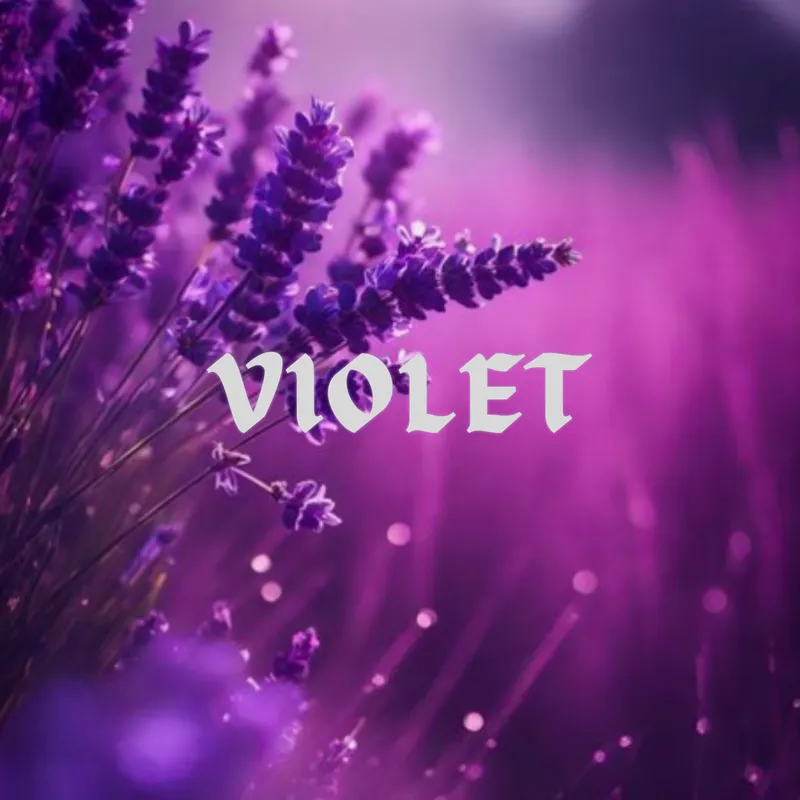 "Violet" Drake X Hip Hop Type Beat by Divine