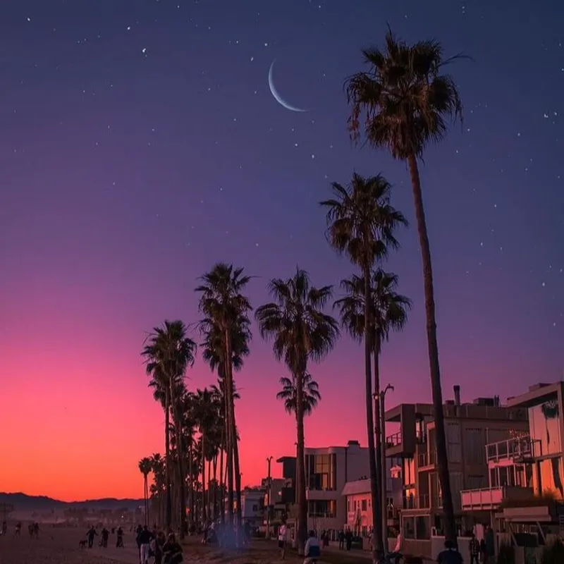 GLOBAL | 2024 K SUAVE X COCHISE TYPE BEAT by orchid2k