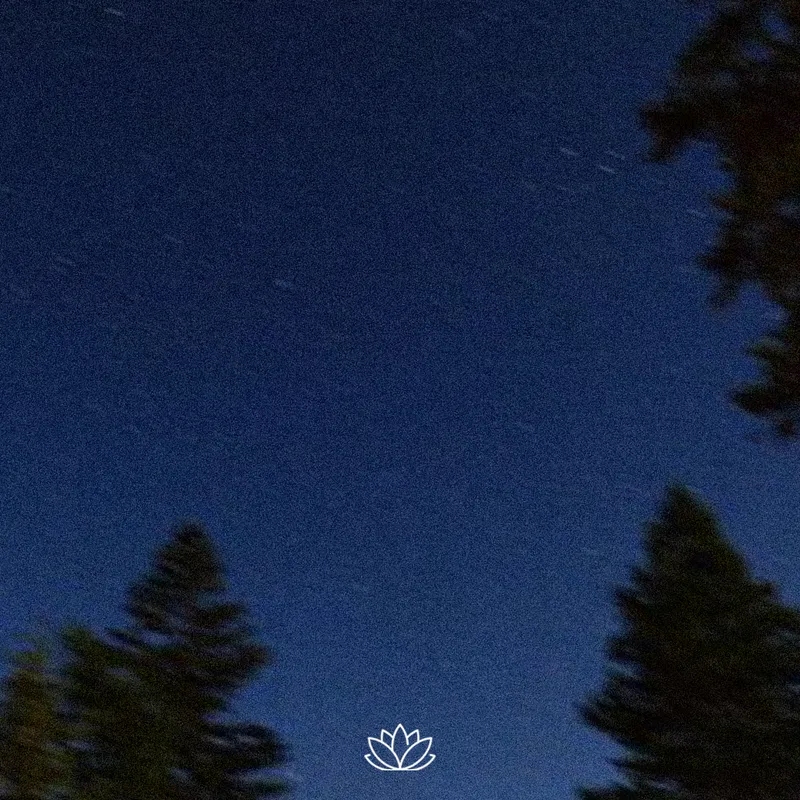 How It Feels | Sad Folk, Acoustic Guitar by Jacob Vallen