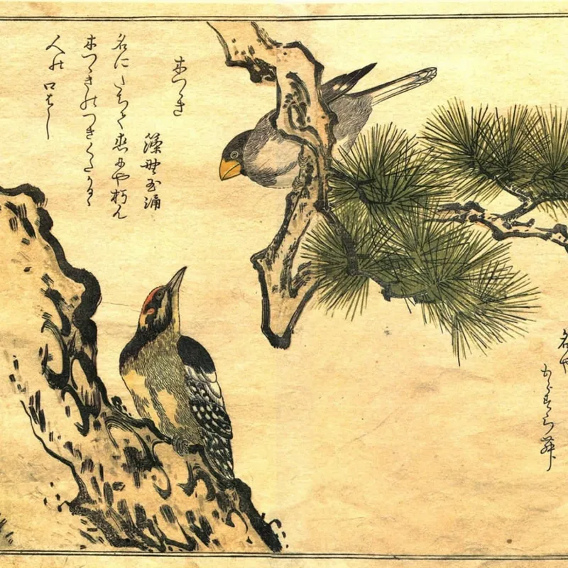 Saiko [Japanese Boom Bap] by Fabes VG