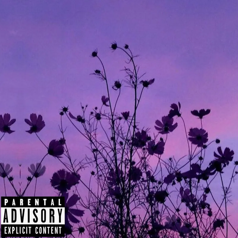 Memories Sad Acoustic Guitar Instrumental No Drums Beat By Iof