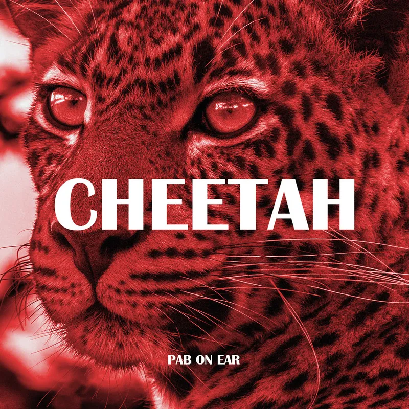 CHEETAH | Aggressive Fast Flow Tyga x Offset Type Beat 2 by Pabonear Beats