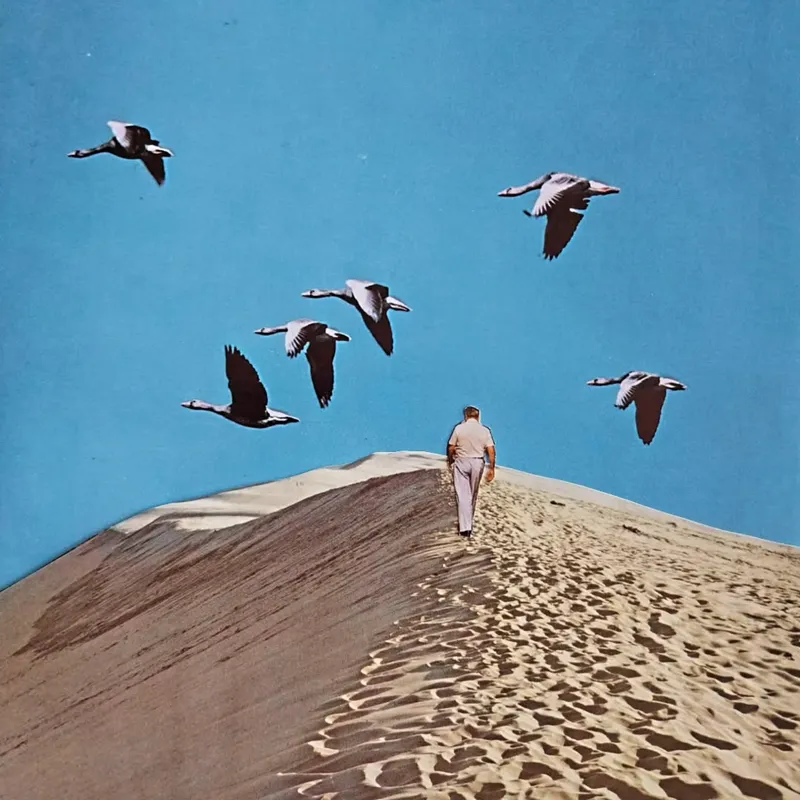 Desert flight by lowtyde