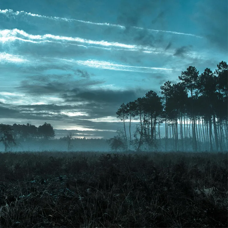 The Mist (Country x Morgan Wallen) by BackYard