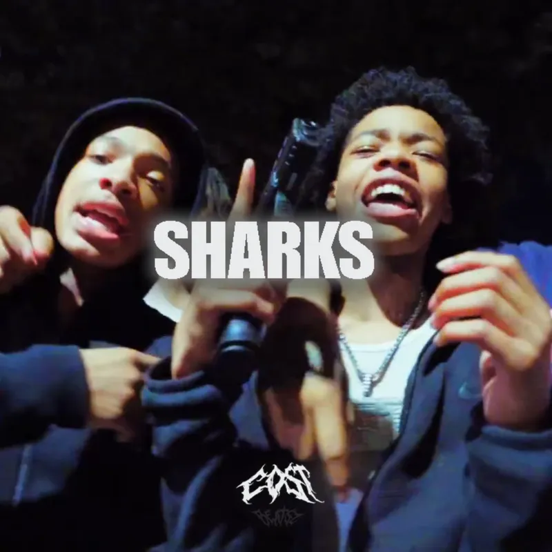 "SHARKS" | Fullychop x Q50WLIL50 Type Beat by Cost Beats