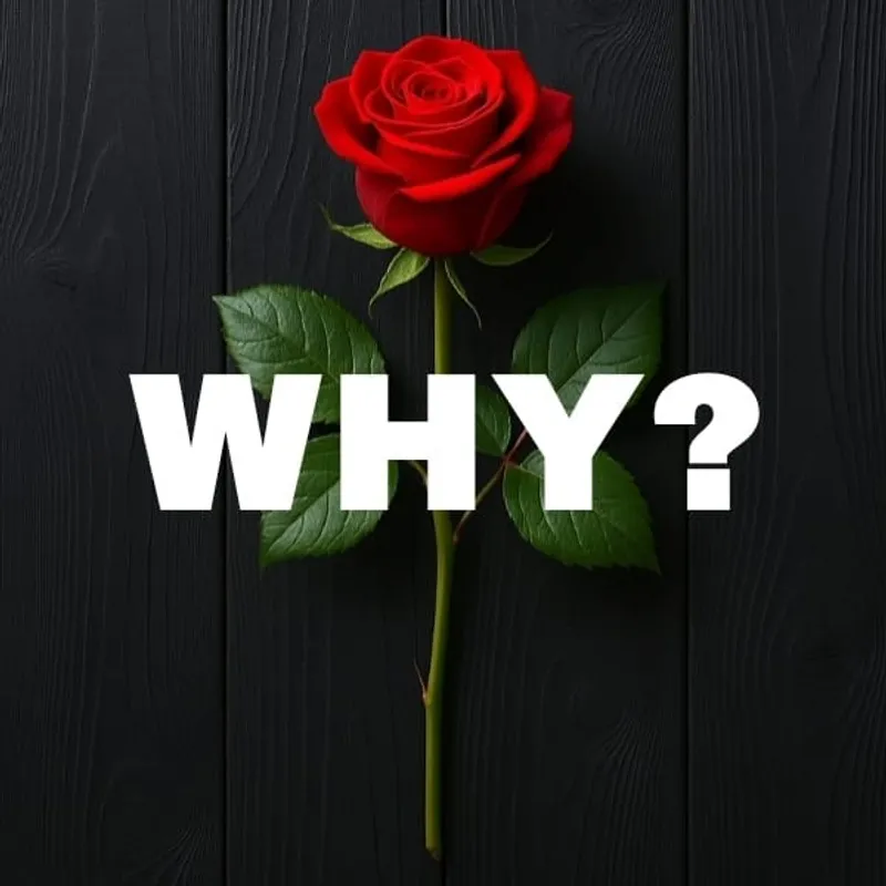 Sad Type Beat - "Why?" | Emotional Rap Piano Instrumental by Sleepless ...