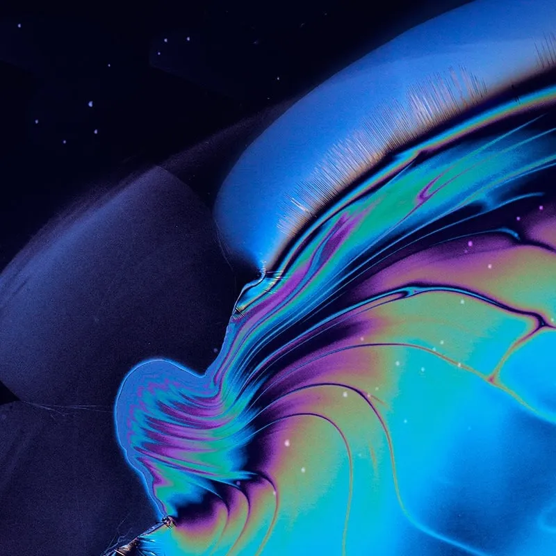 The Plot In You x Architects by NERVV PROD