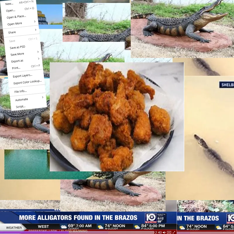 GATOR NUGGETS (Prod. Kutta604) by Kutta604