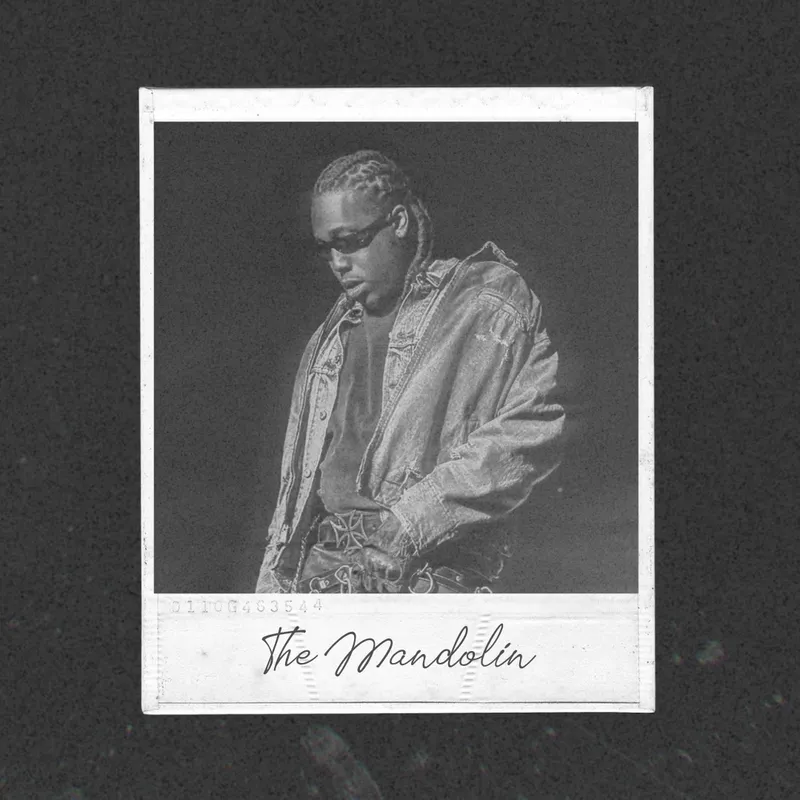 Mandolin | Guitar Hard Trap Don Toliver X Gunna Type Beat by prodbyporto