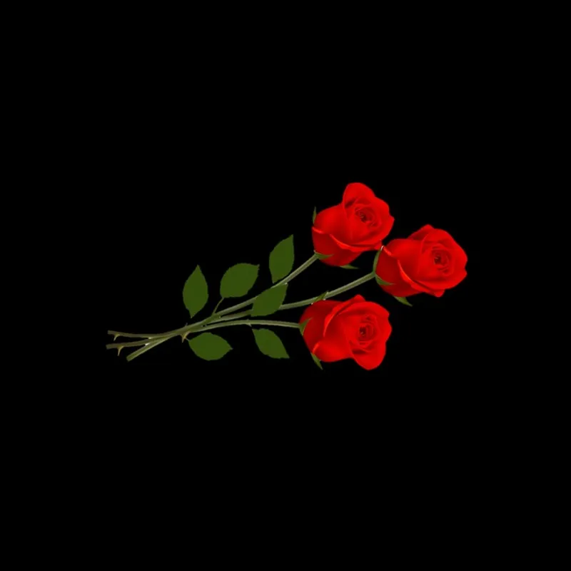 Roses (Juice Wrld/The Kid LAROI Type Beat) by Preach Beats