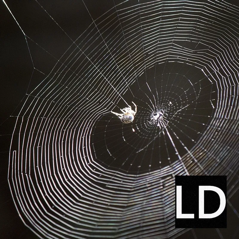 Spider | Hype Trap Instrumental by Lone Disciple