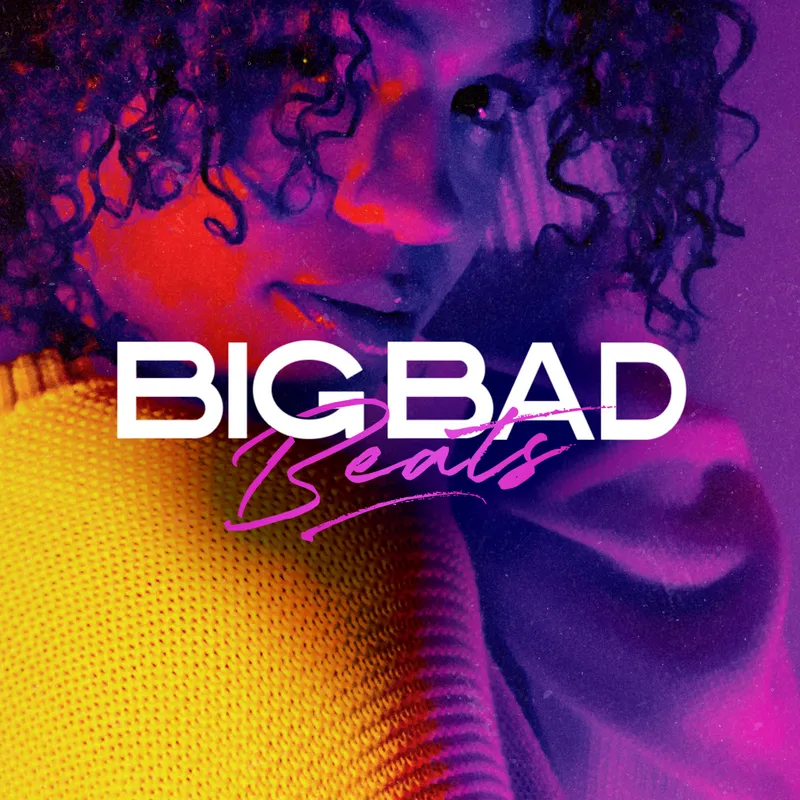 Survivor (Funk, Disco) by BigBadBeats