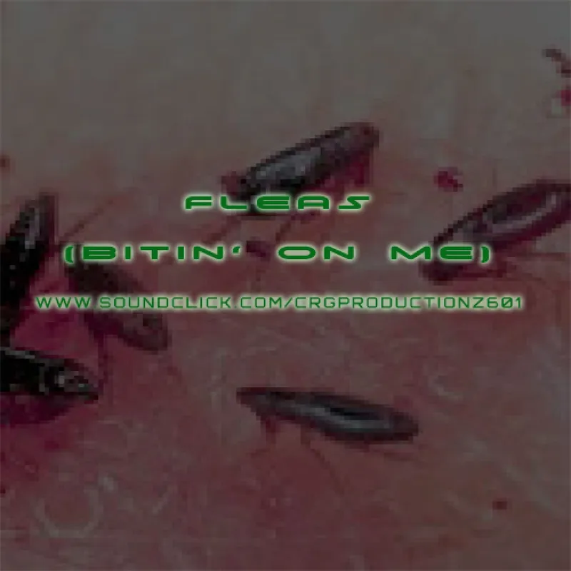 Fleas(Produced By C.R.G Productionz one lease) by C.R.G Productionz