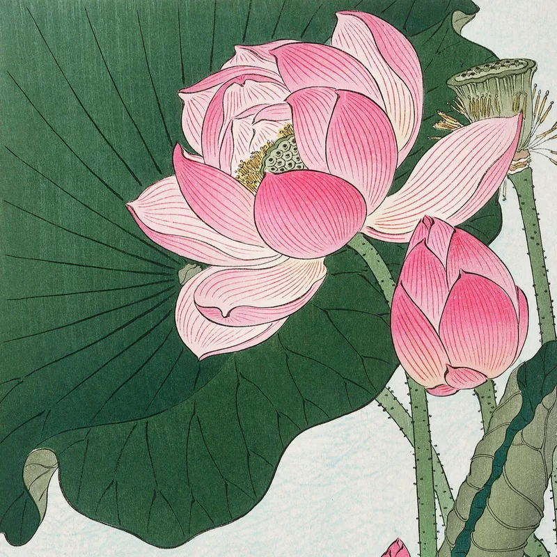 SUNFLOWER - Doja Cat Type Beat by mantra