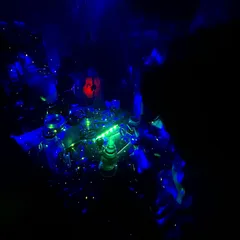 PurpCat | BeatStars Profile