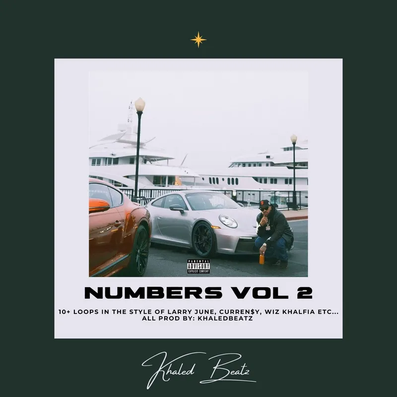 NUMBERS VOL 2 LOOPKIT / SAMPLE PACK (LARRY JUNE) by KHALED BEATZ ...