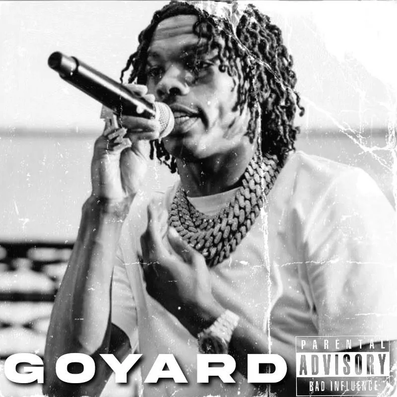 "GOYARD" SAMPLE PACK (EST Gee, Future, Nardo Wick) by Prod. FSB - Sound Kit