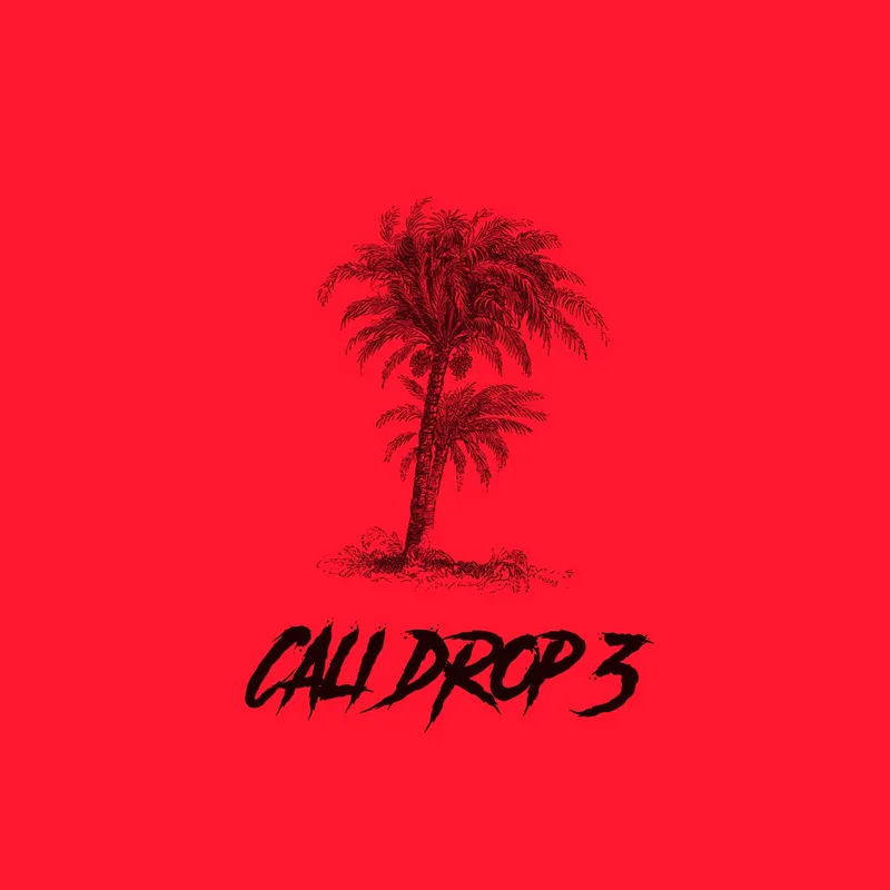 Cali Drop 3 by Ricky Morales - Sound Kit