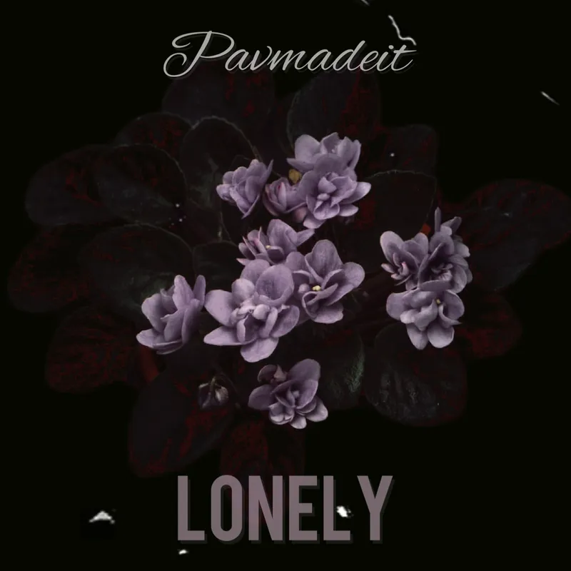 Lonely Loop Kit by PavMadeIt - Sound Kit